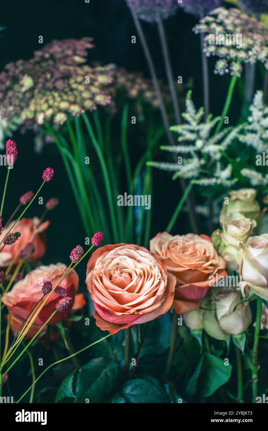 beautiful romantic roses in vintage style Stock Photo - Alamy