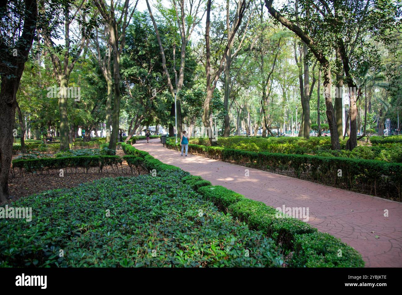 Parque mexico cdmx condesa hi-res stock photography and images - Alamy