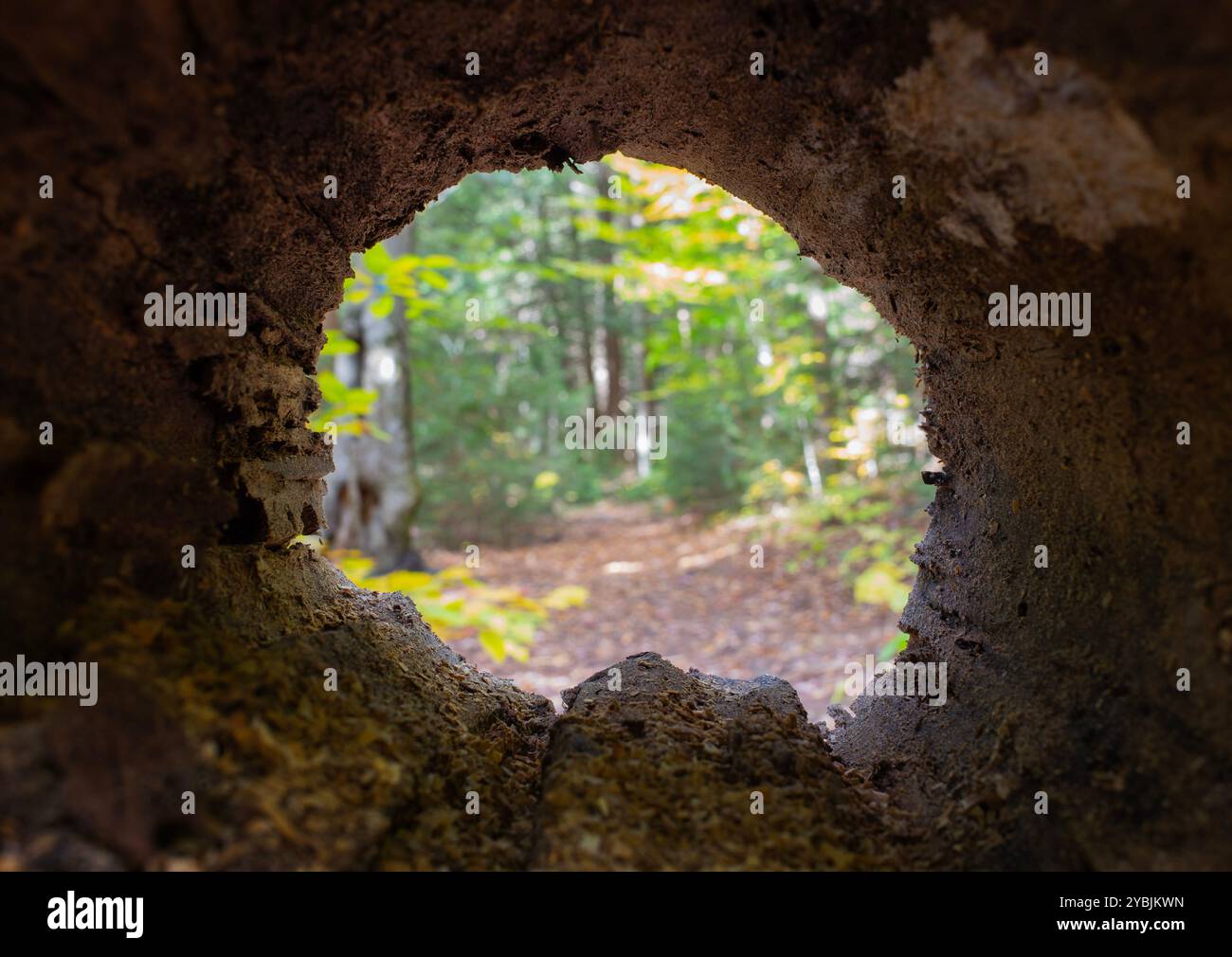 Holed material hi-res stock photography and images - Alamy