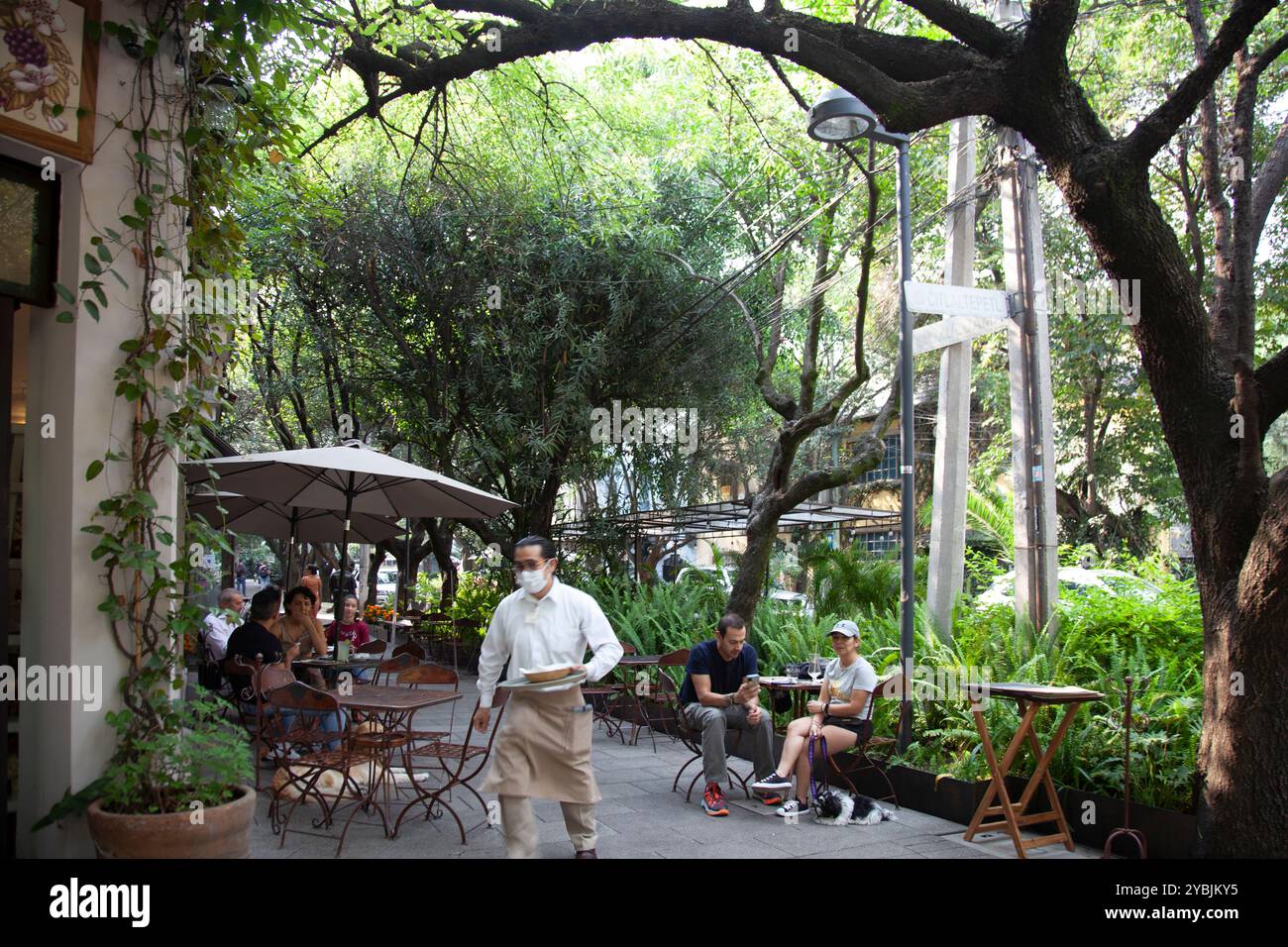 Parque mexico cdmx condesa hi-res stock photography and images - Alamy