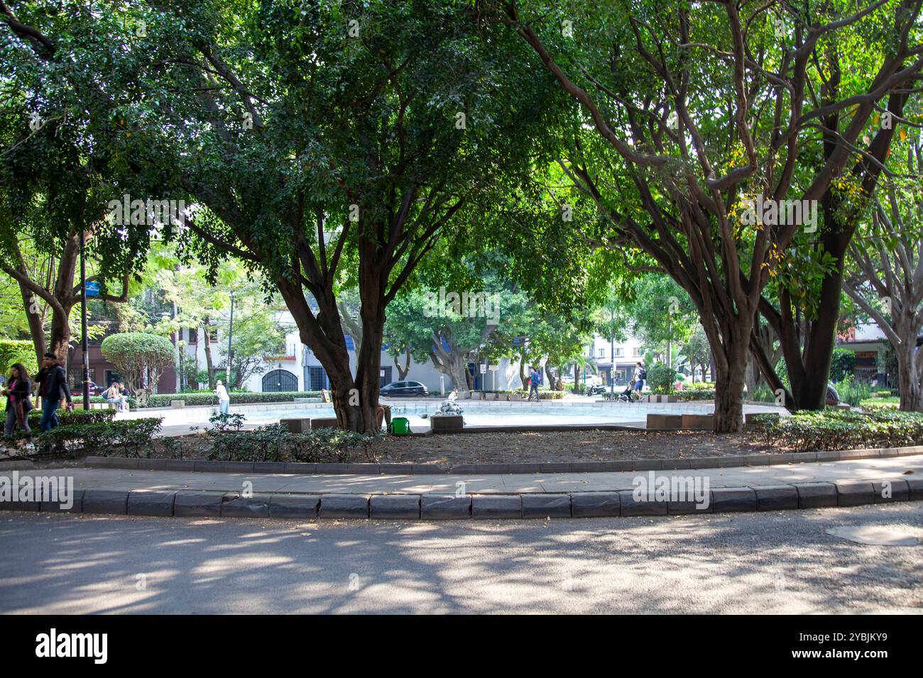 Roundabout in Condesa Neighbourhood in Mexico City, Mexico Stock Photo ...