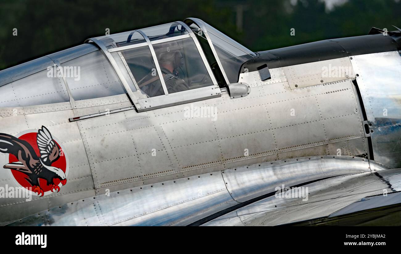 The Curtiss P-36 Hawk, also known as the Curtiss Hawk Model 75, is an ...