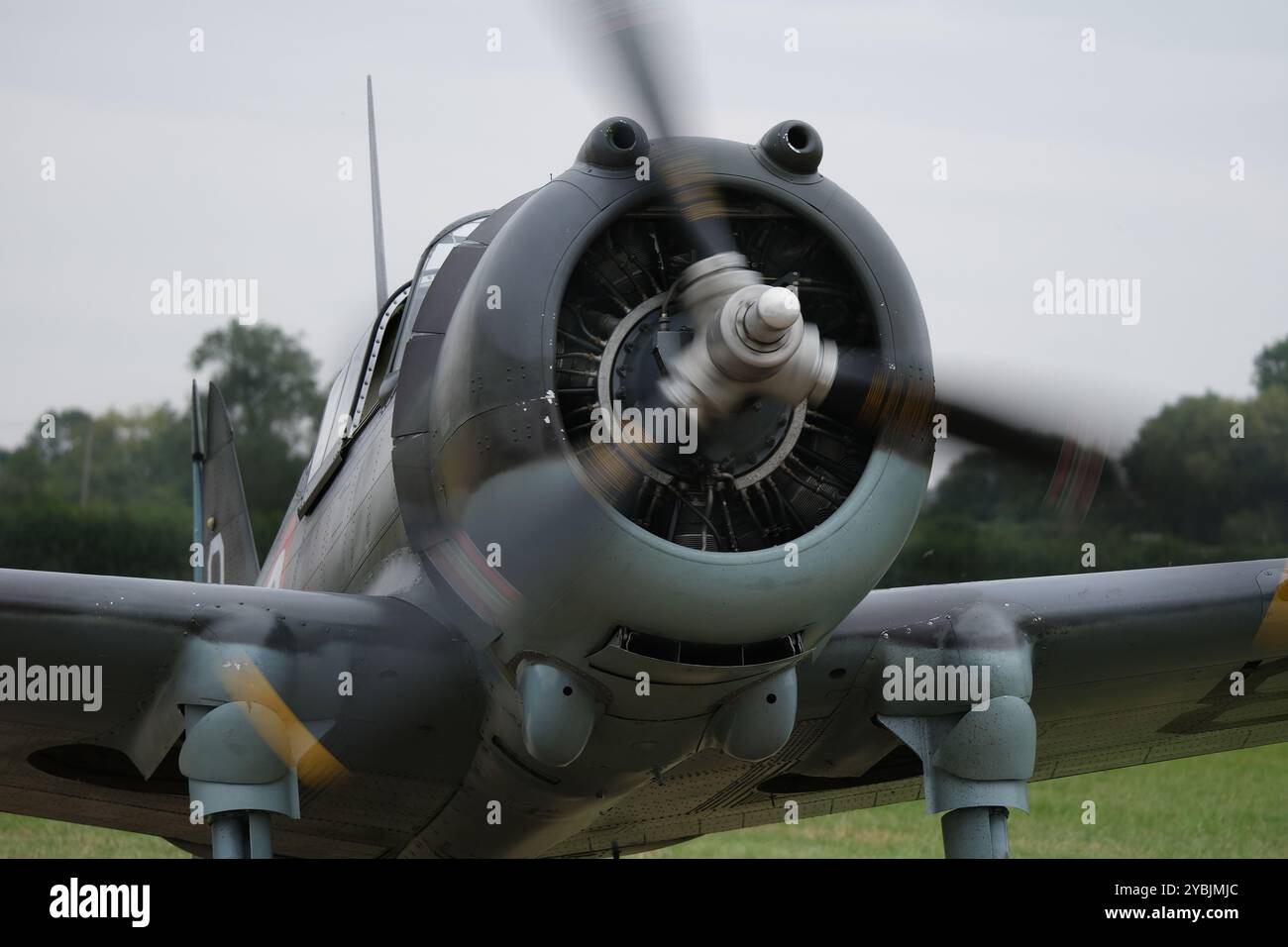 Curtiss p 36 hawk hi-res stock photography and images - Alamy