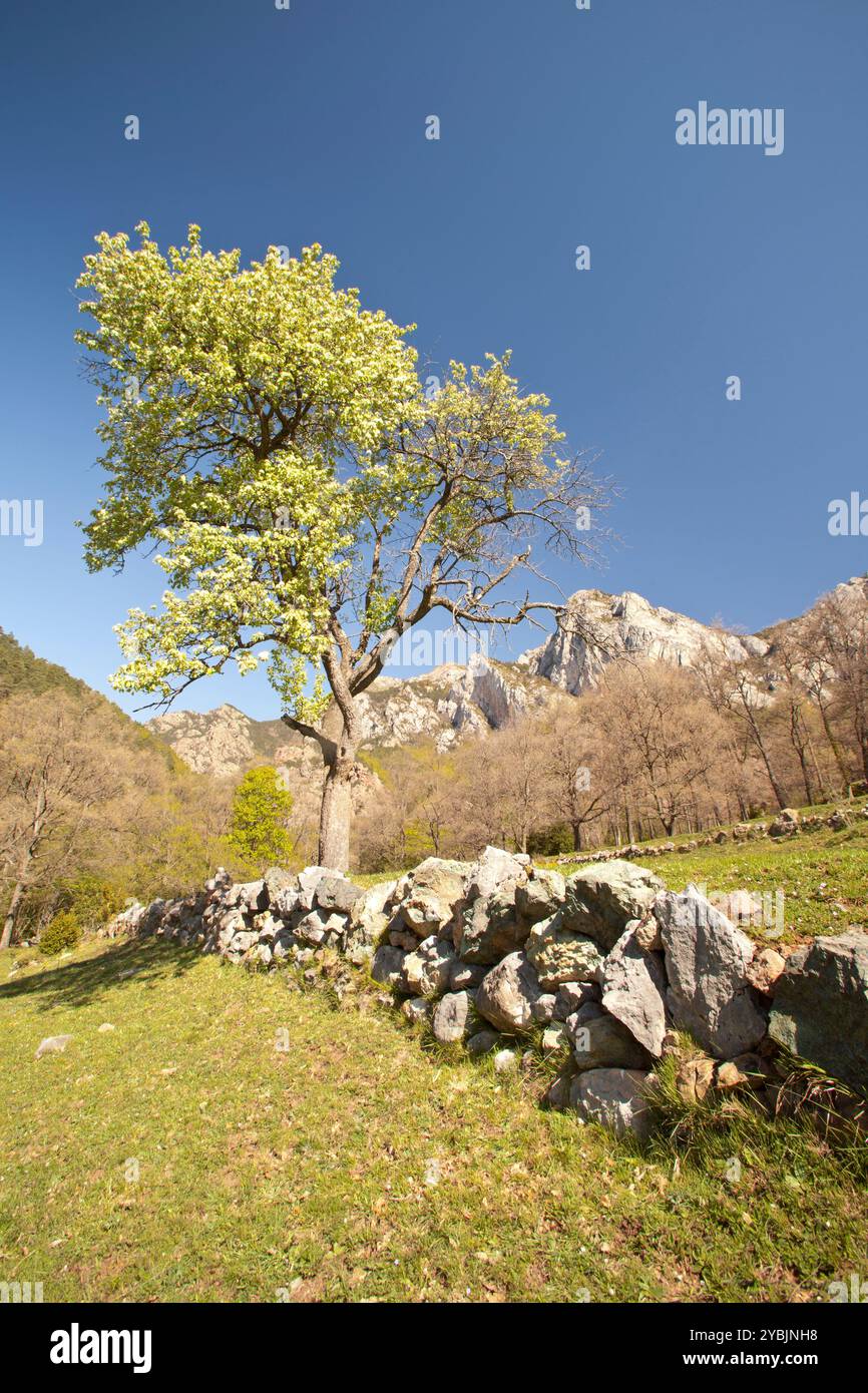 Serra de moixero hi-res stock photography and images - Alamy