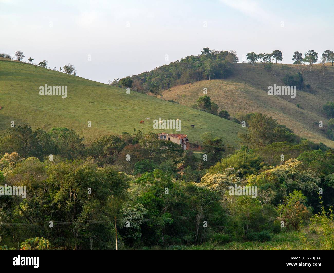 Rural life at Cunha town, a hill station on São Paulo Estate, Brazil ...