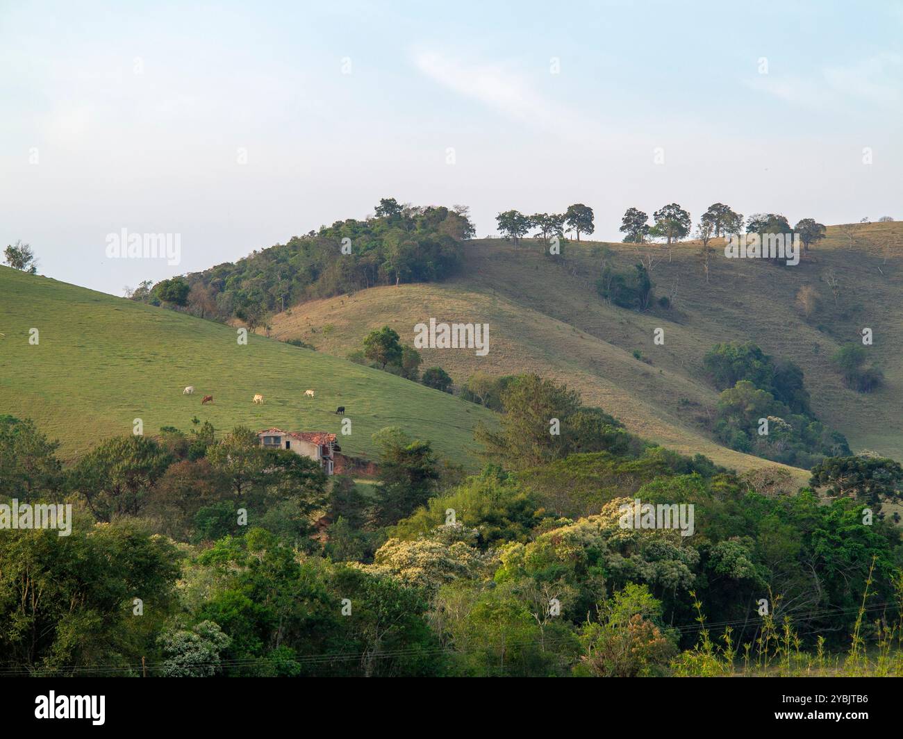 Rural life at Cunha town, a hill station on São Paulo Estate, Brazil ...
