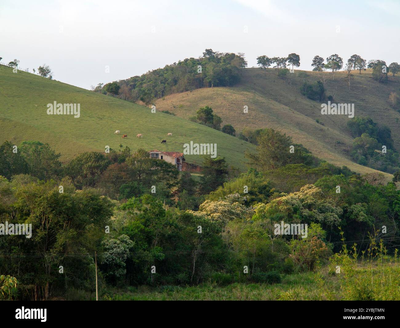 Rural life at Cunha town, a hill station on São Paulo Estate, Brazil ...