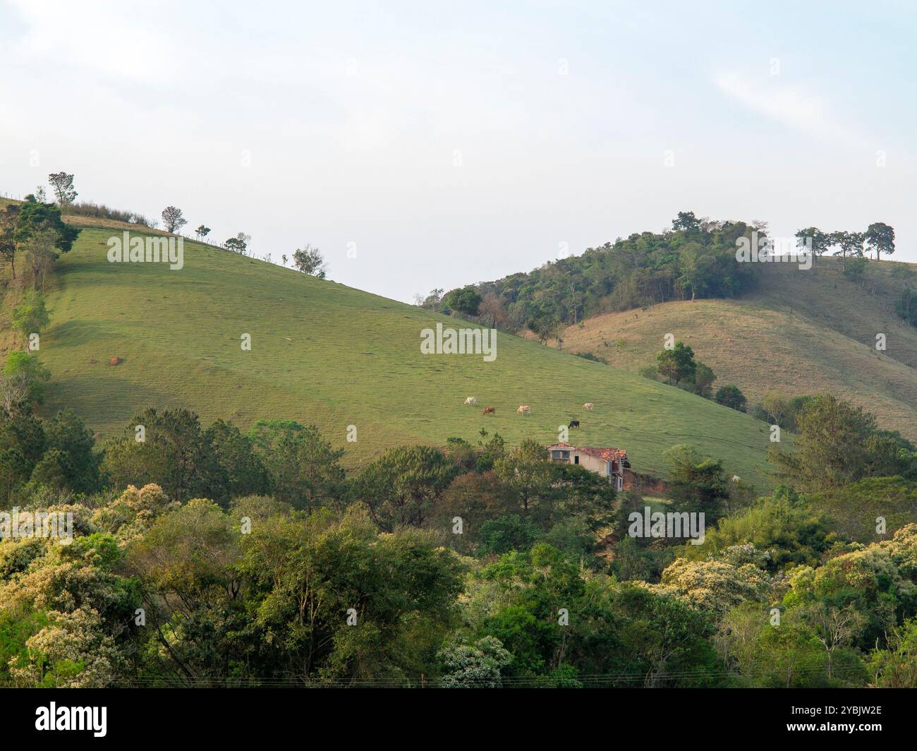 Rural life at Cunha town, a hill station on São Paulo Estate, Brazil ...