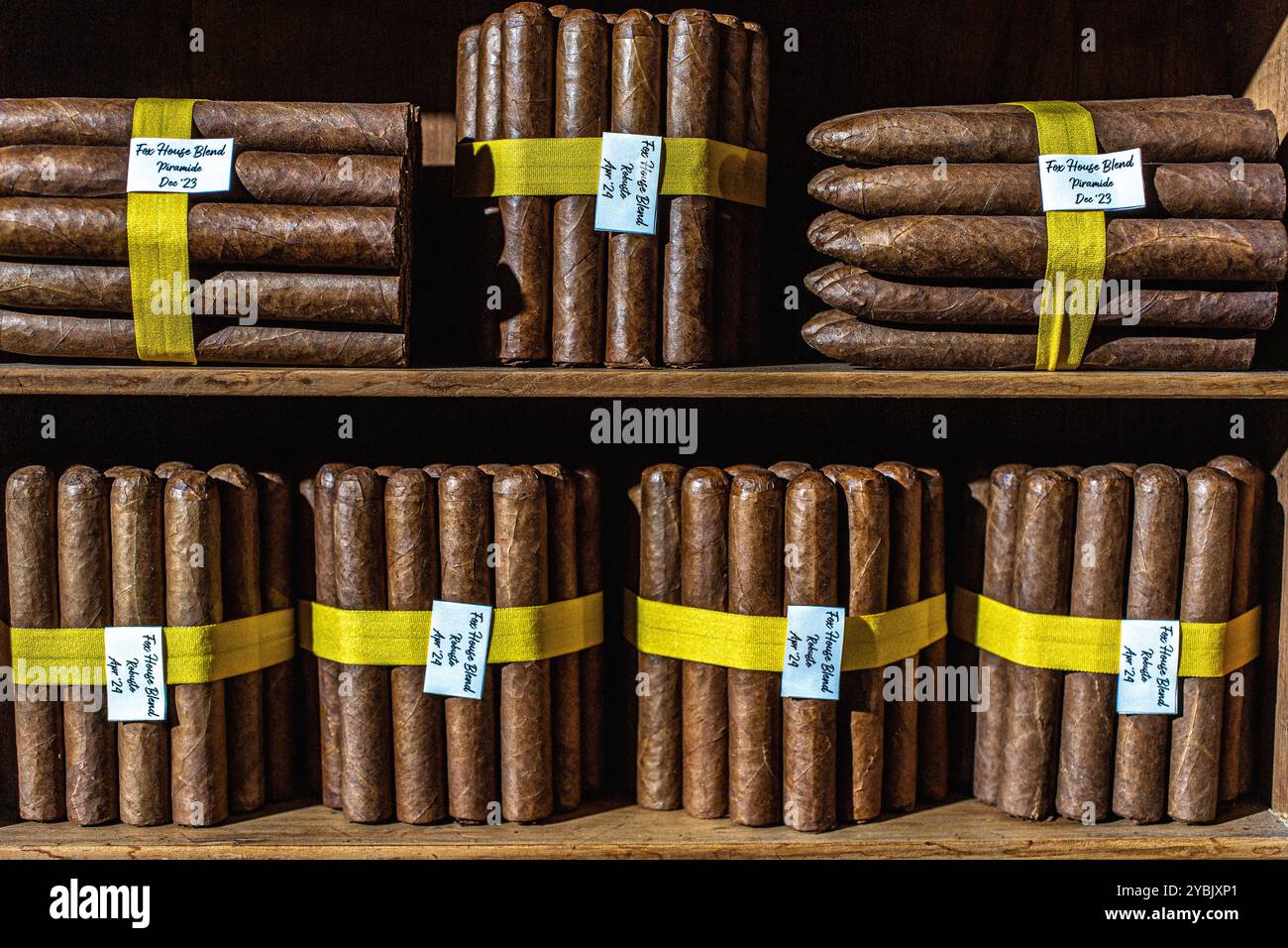 Bundles of cigars in the humidor room with constant humidity and ...