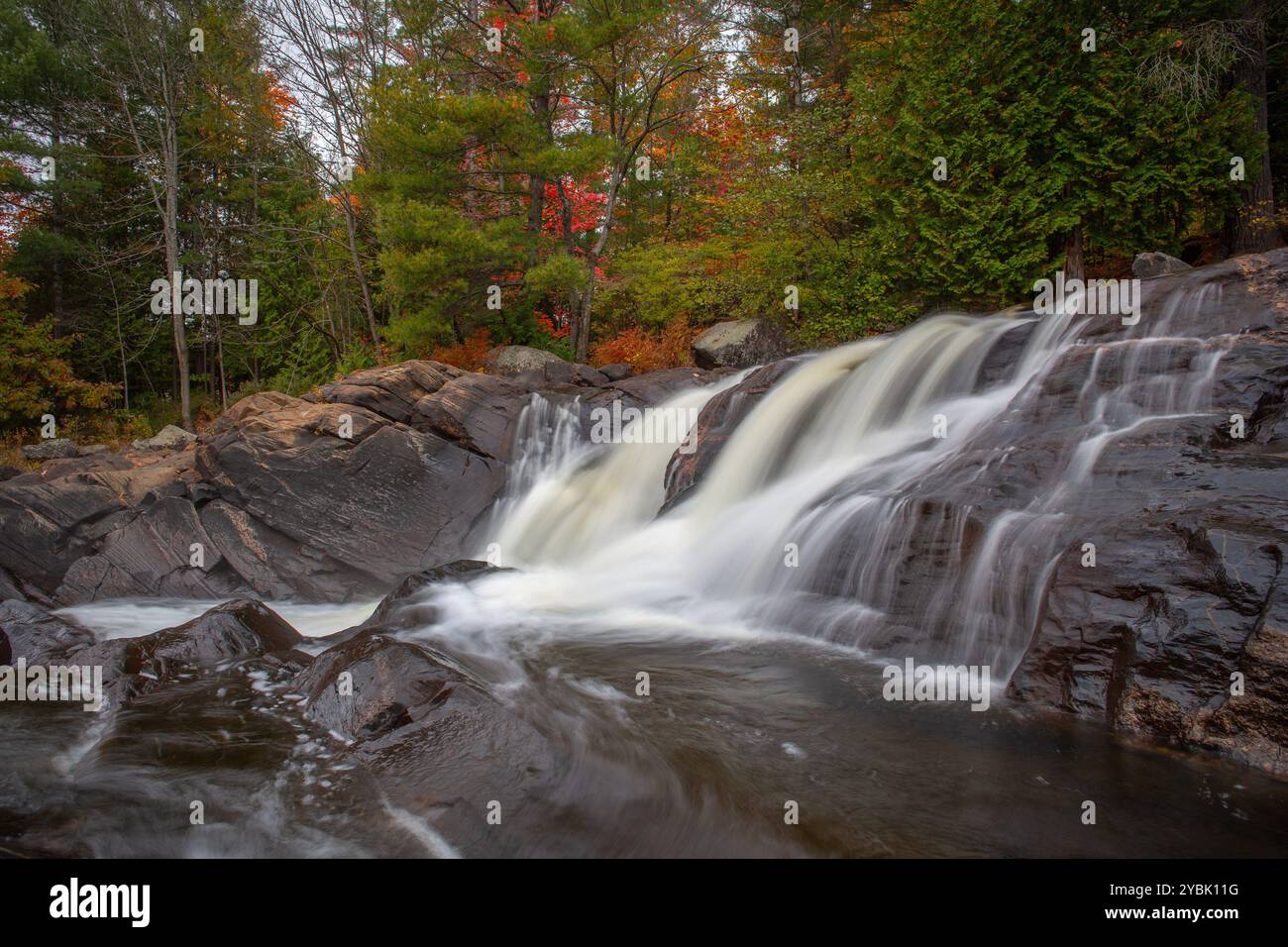 Wilson's Falls at Muskoka, Ontario, Canada Stock Photo - Alamy