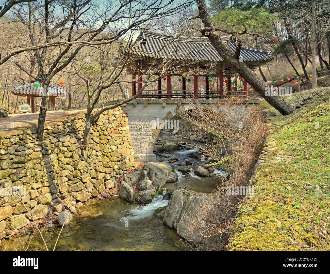 Spreading pine temple hi-res stock photography and images - Alamy