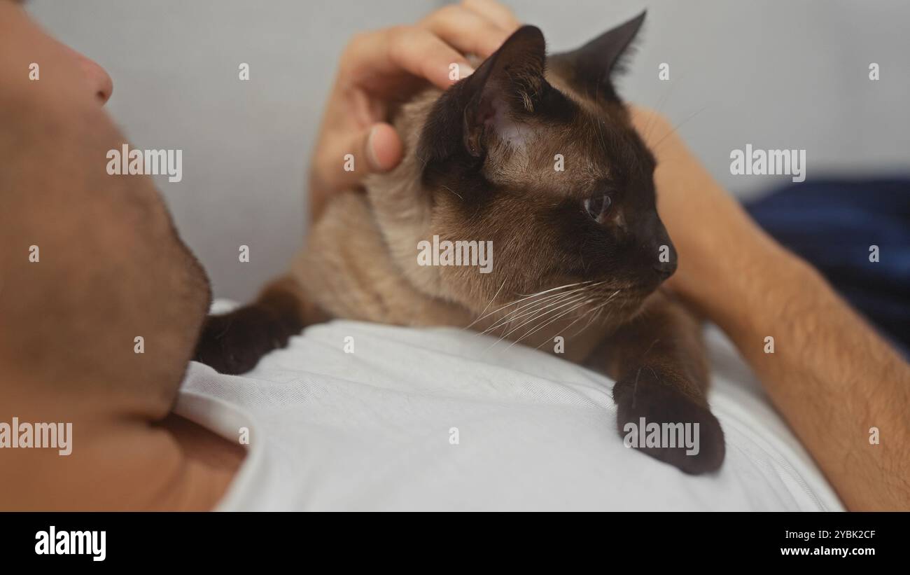 A young hispanic man comforts his siamese cat indoors, expressing a ...