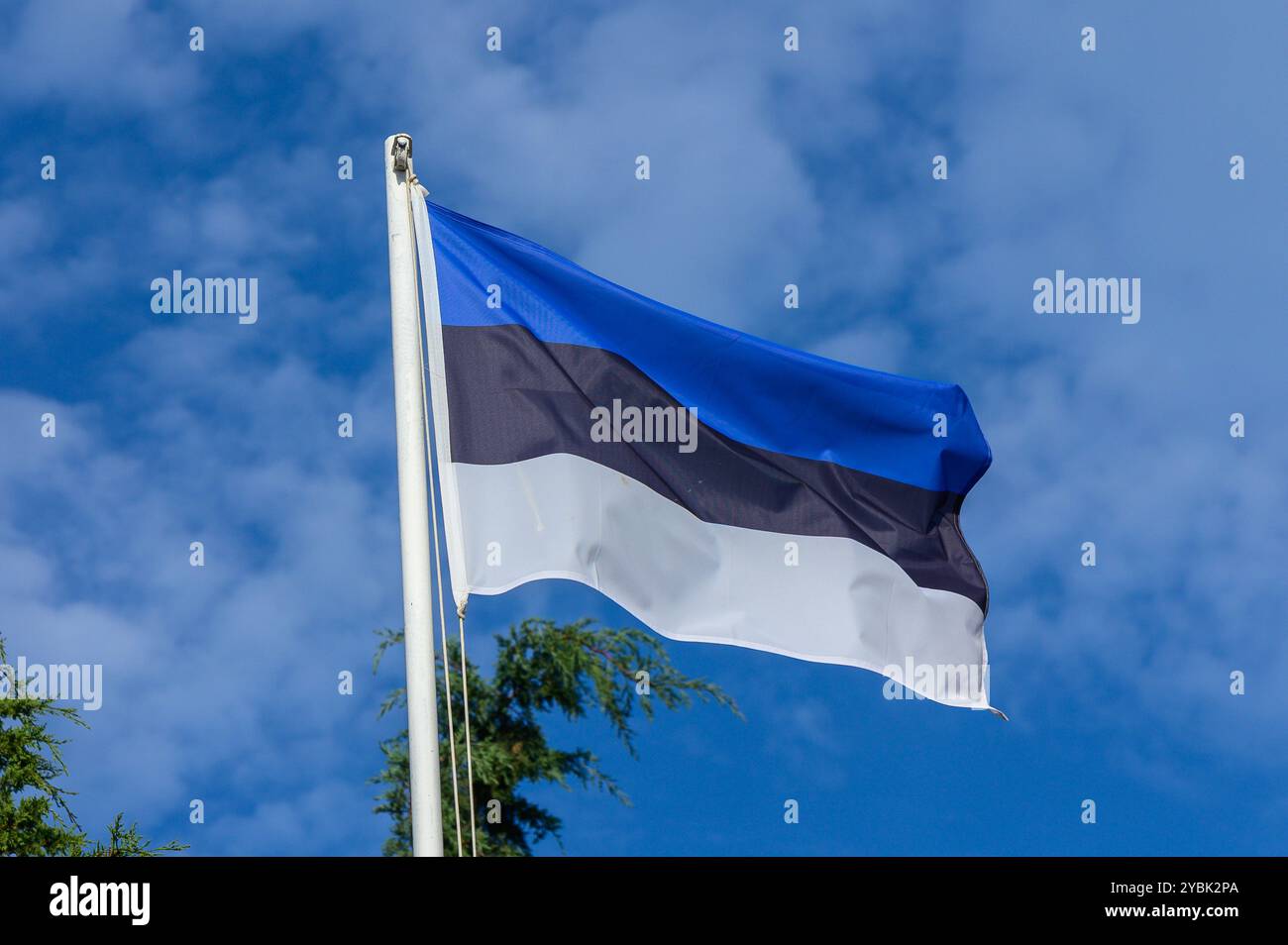 Under a vibrant blue sky, the flag of Estonia waves gracefully. The ...