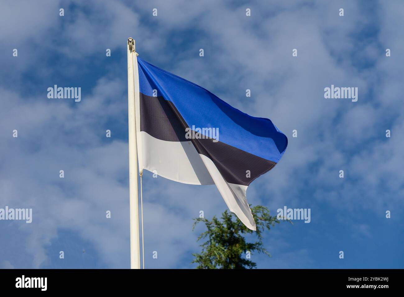 The Estonian flag flutters proudly in the breeze, showcasing its ...