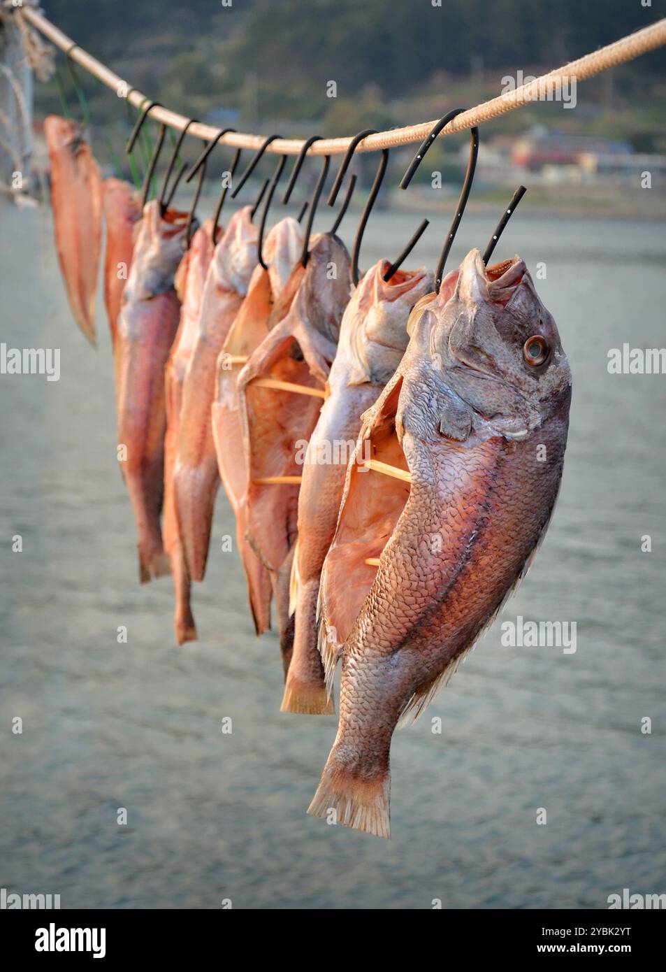 Hung out to dry hi-res stock photography and images - Alamy