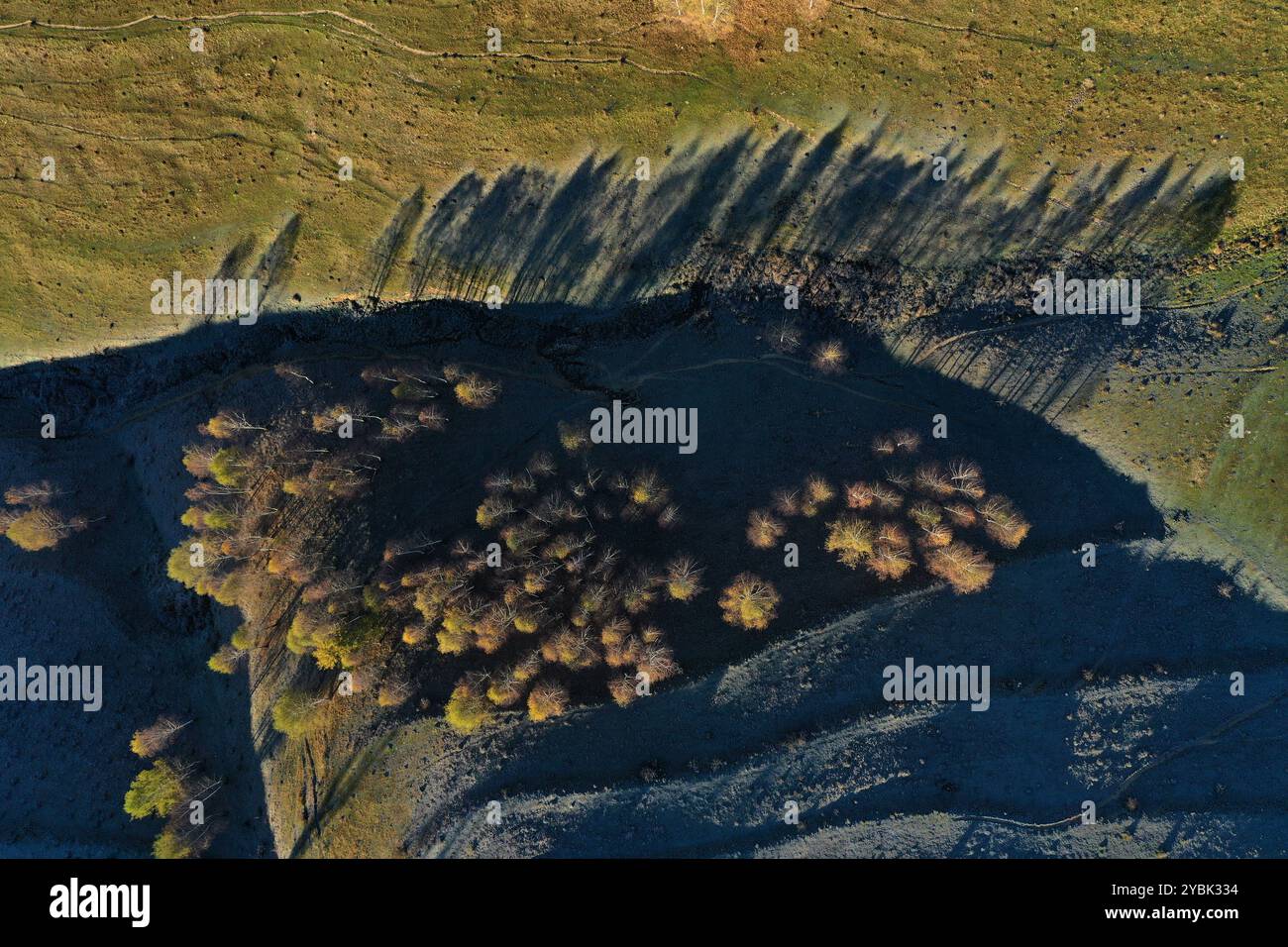 Aerial shot silhouette trees people hi-res stock photography and images ...