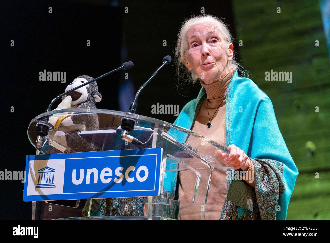 Paris, France. 19th Oct, 2024. British zoologist and primatologist Jane ...