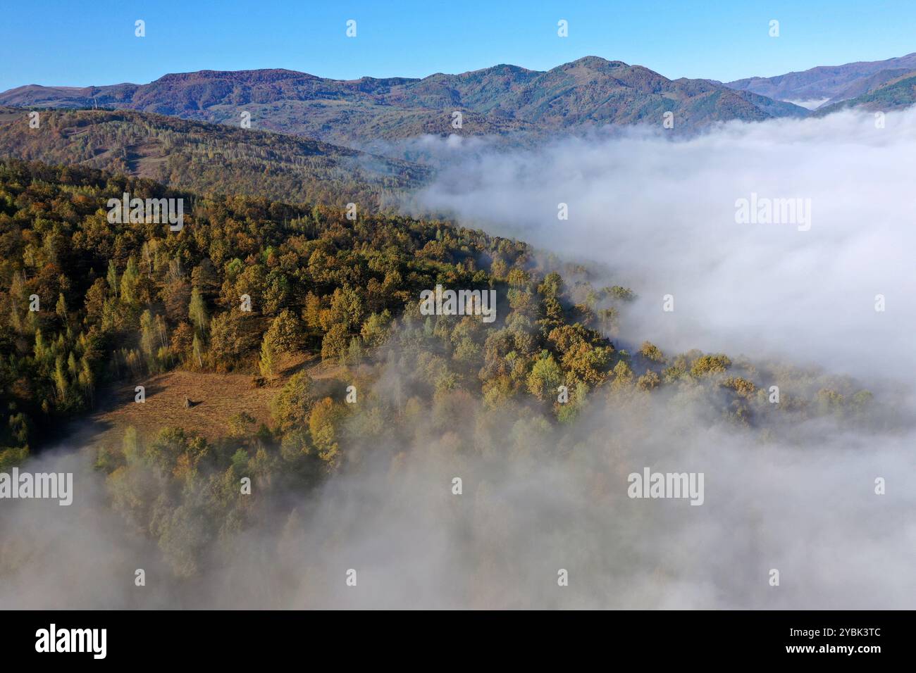 Aerial view dense forest canopy hi-res stock photography and images - Alamy