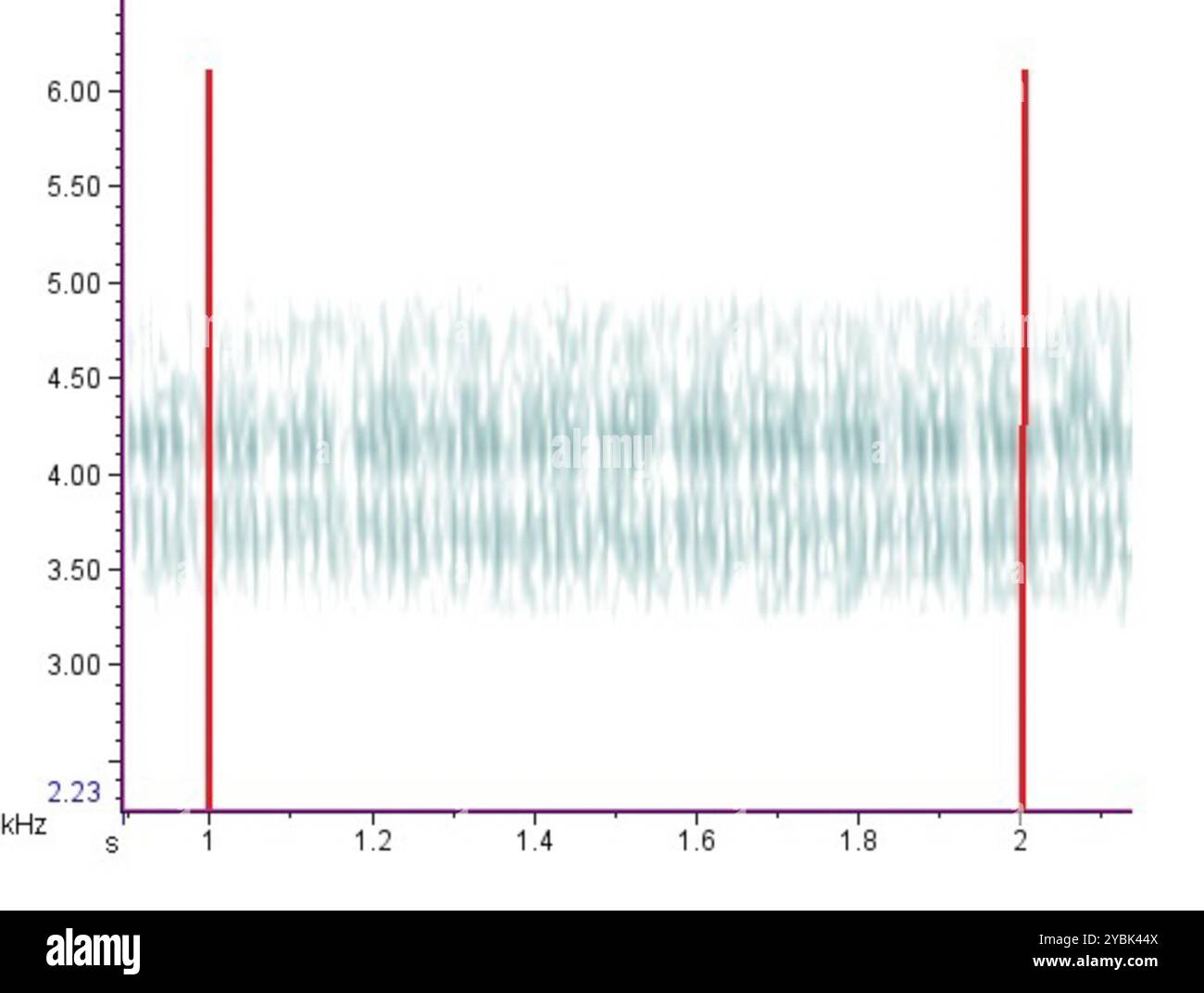 Gryllus rubens hi-res stock photography and images - Alamy