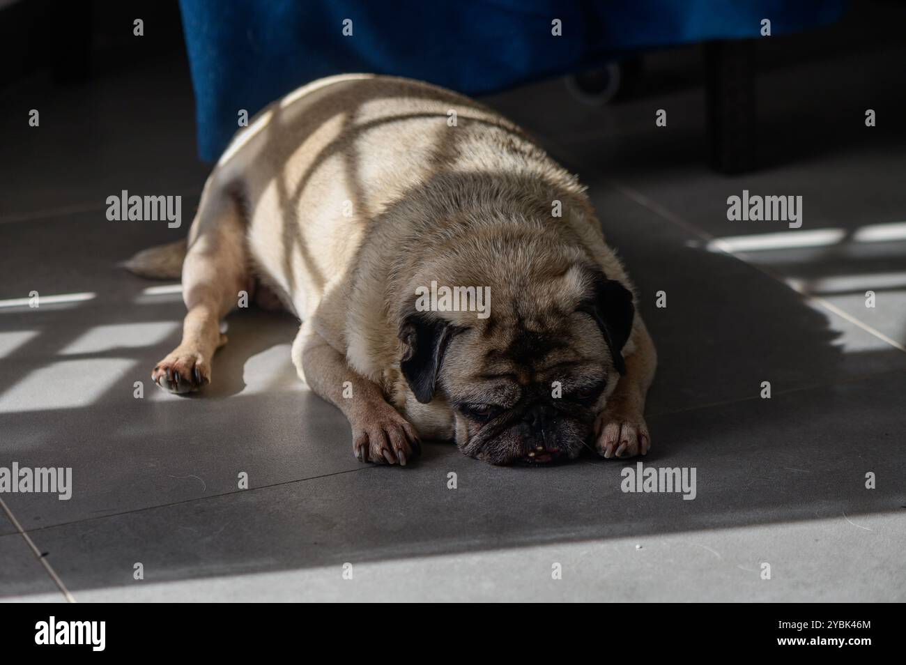 Soft light casts gentle shadows hi-res stock photography and images - Alamy