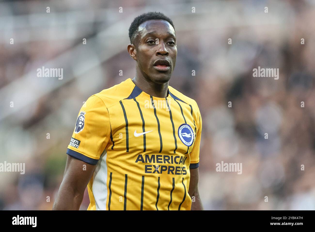 Danny Welbeck of Brighton & Hove Albion during the Premier League match ...