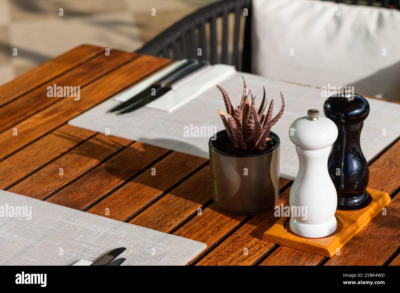 The table is elegantly set with sleek utensils and a charming plant ...
