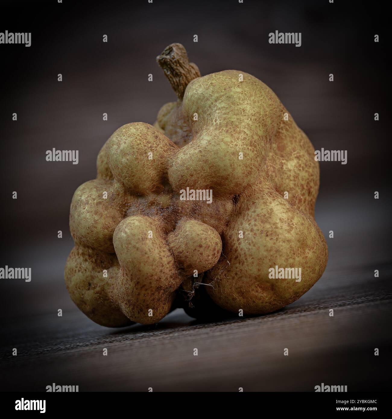 Deformed, malformed or atypical fruit, Pear in studio Stock Photo - Alamy