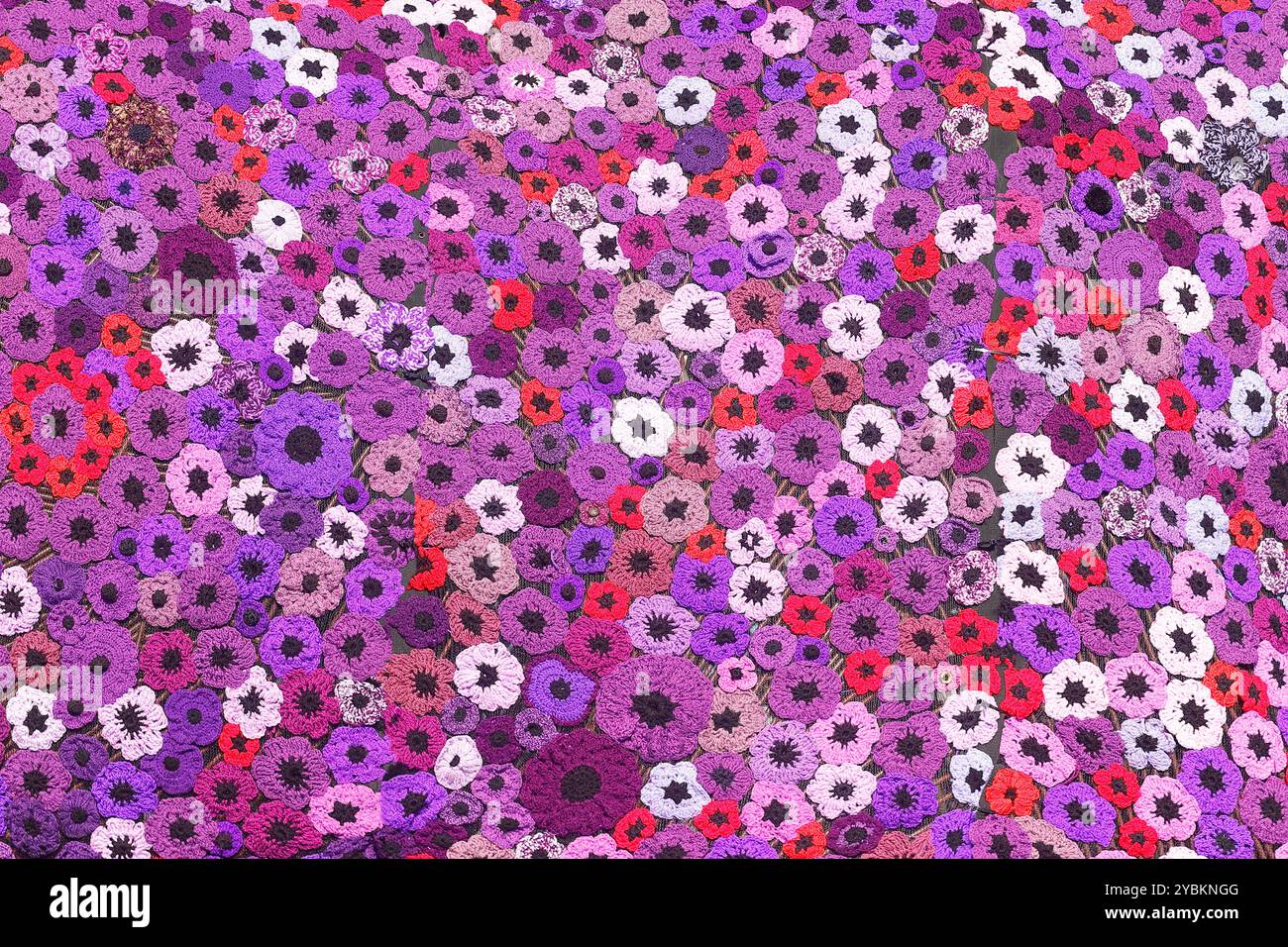 A coat of Purple Poppies created by Murphy's Army Purple Poppy Campaign ...