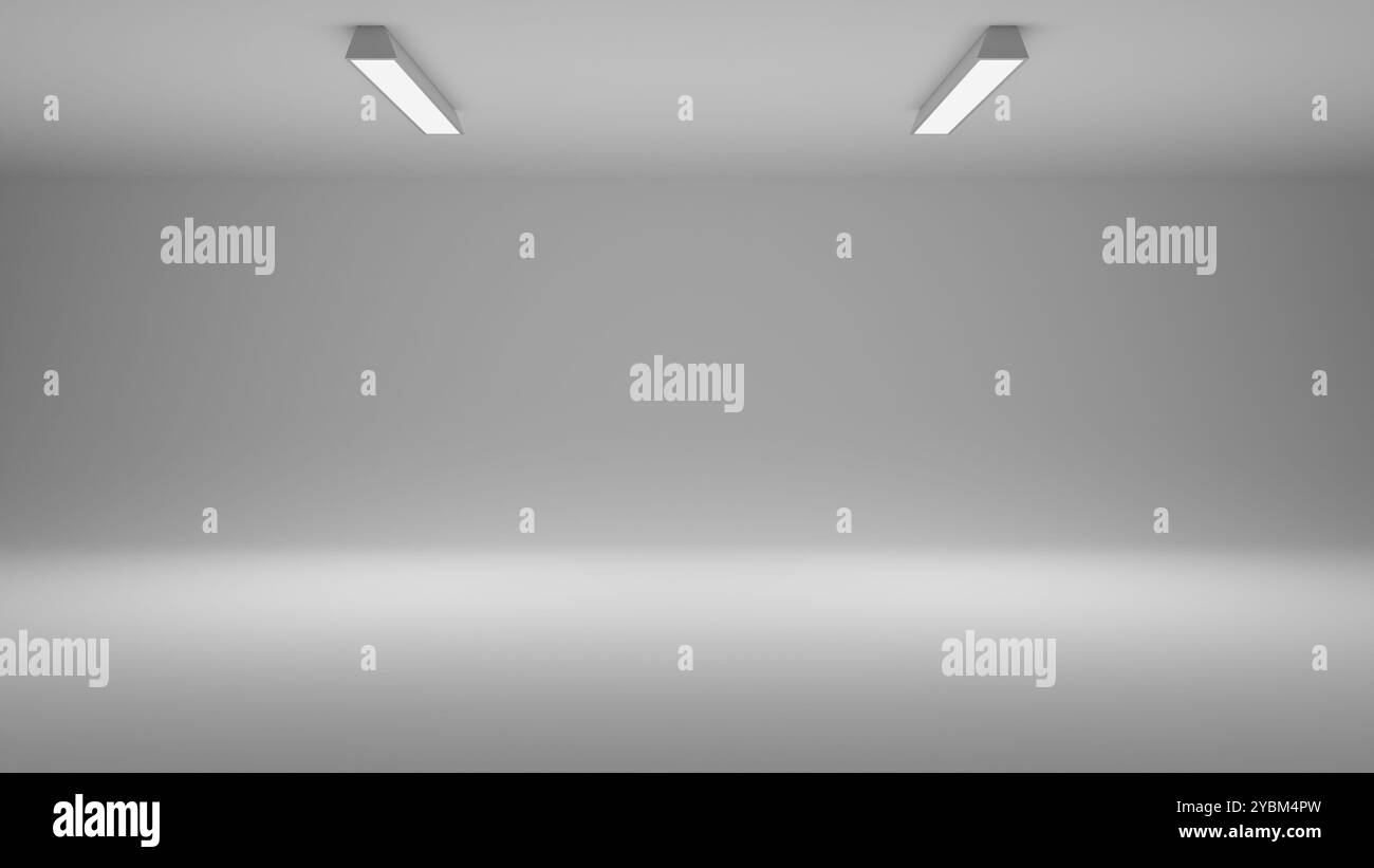 Minimalist photography studio with fluorescent lights on the ceiling ...