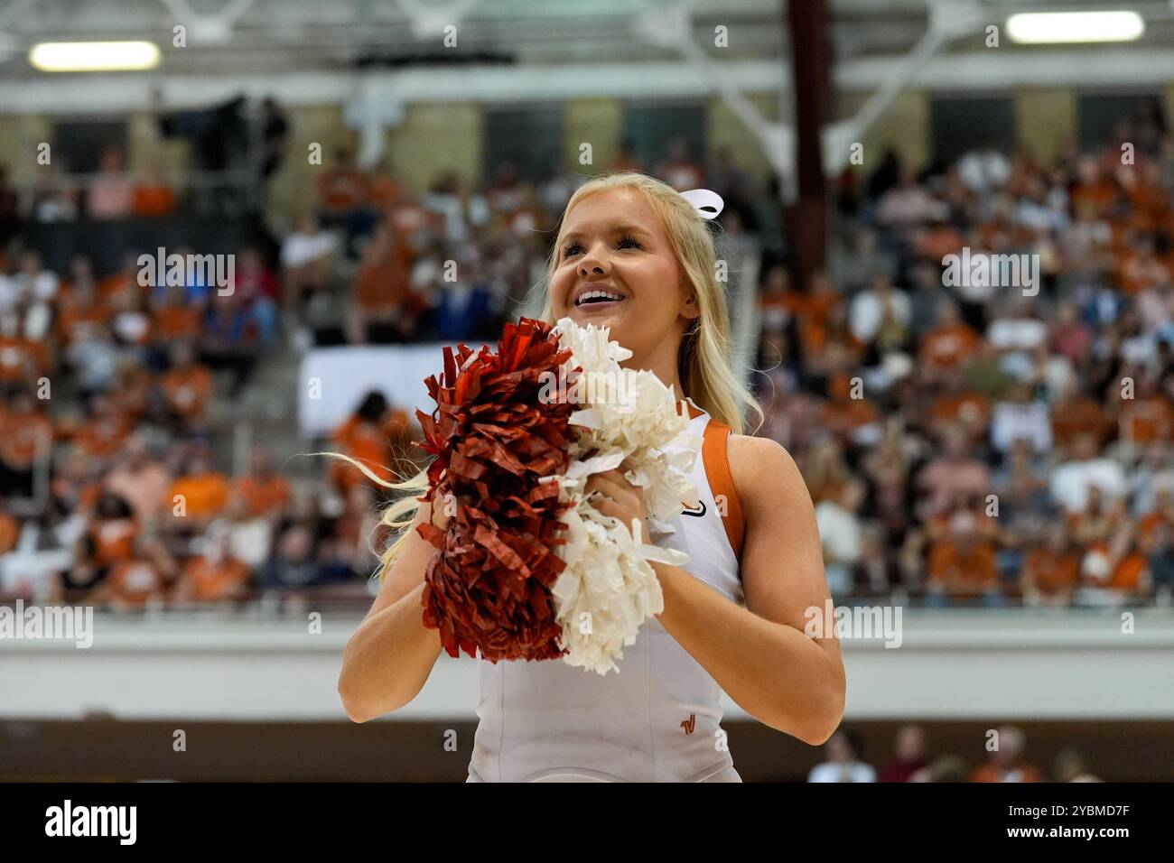 Texas longhorns cheerleader hi-res stock photography and images - Alamy