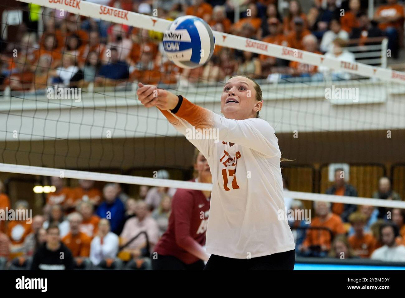 Texas setter Averi Carlson (17) digs the ball Stock Photo - Alamy