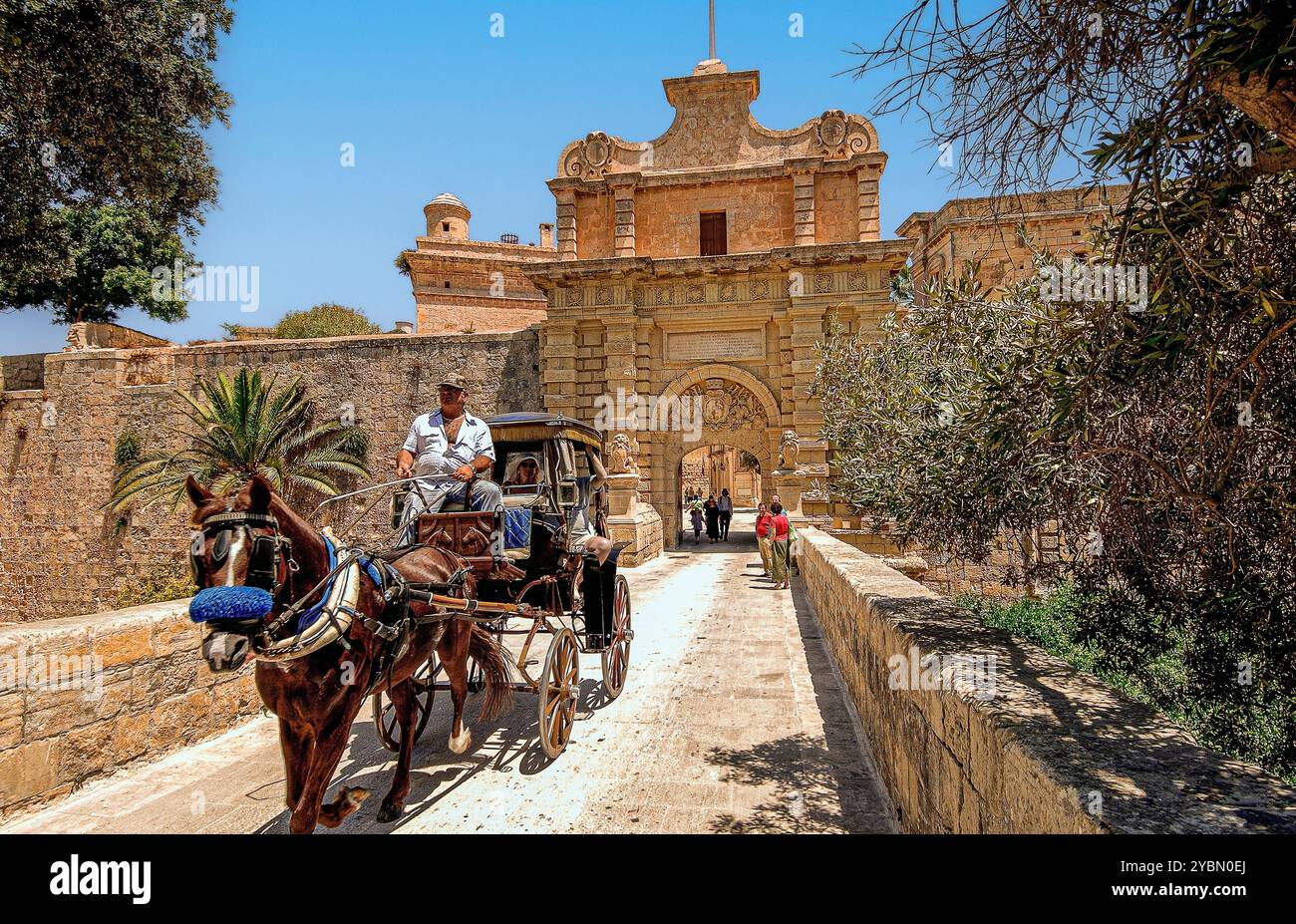 Maltese archipelago - Malta Island - Mdina A typical wooden horse ...