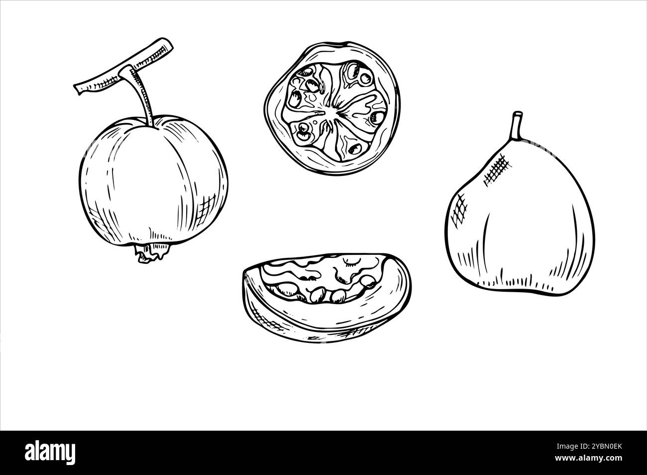 Whole and cut guava fruit vector food illustration set painted by black ...