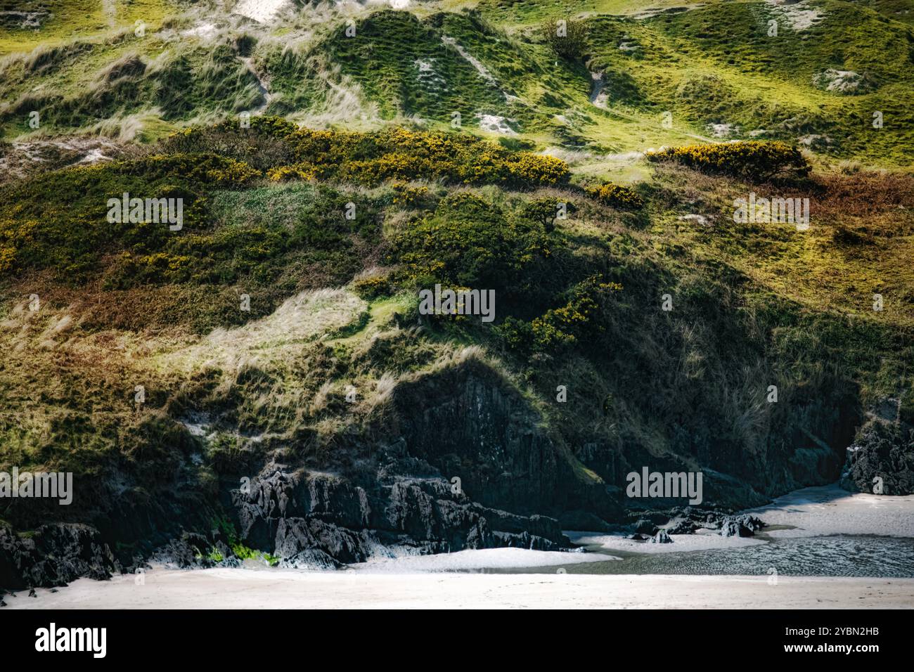 The bottom of a grassy hillside meets a sandy beach with evidence of ...