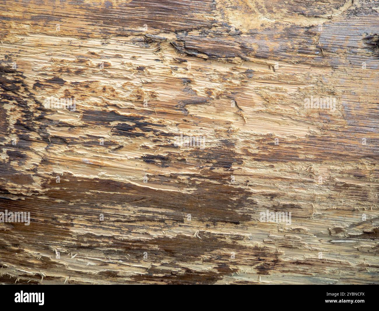 Wood background. Old wooden wall. Walls made of wood. Hard material ...