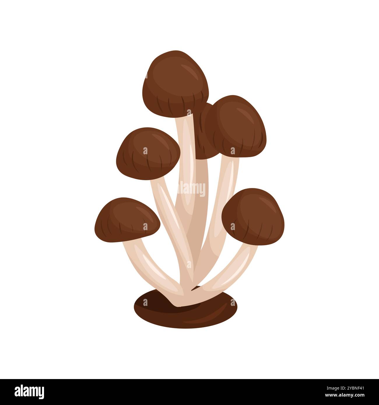 Autumn honey fungus. Vector illustration of brown mushroom Stock Vector ...