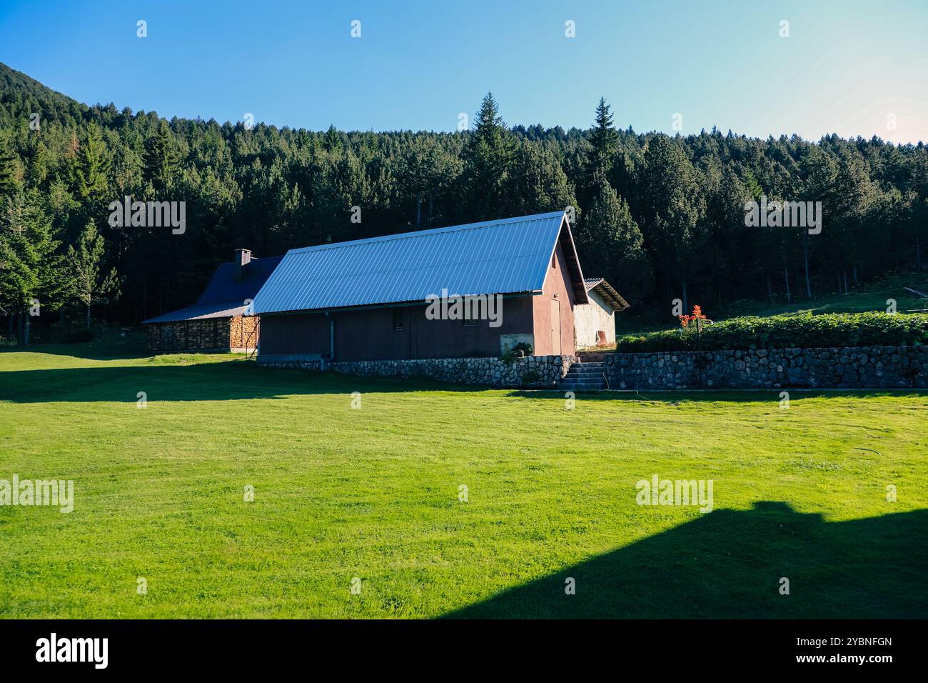 Cottage garden aesthetic hi-res stock photography and images - Alamy