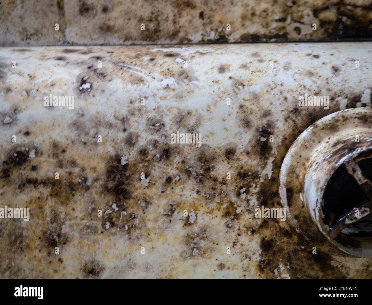Black mold on white enamel. Mold spores. Surface contamination ...