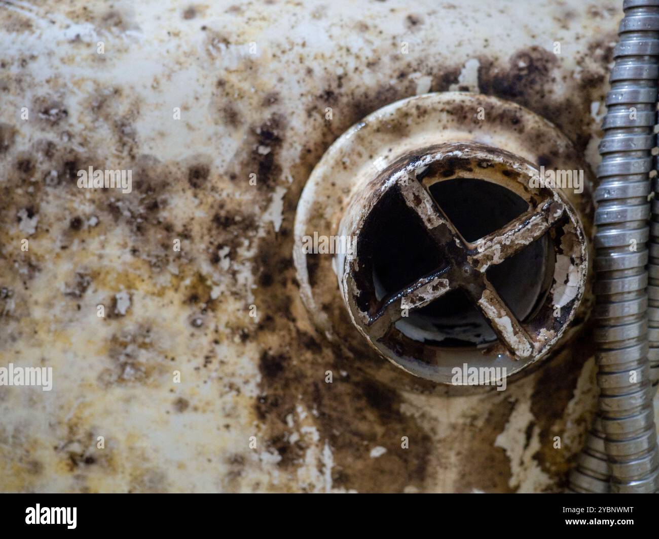 Black mold on white enamel. Mold spores. Surface contamination ...