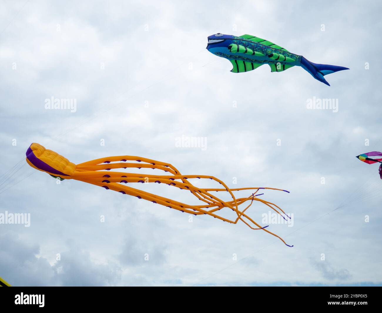 Kite Festival. Bright animal-shaped kites. Weekend at sea. Holiday and ...