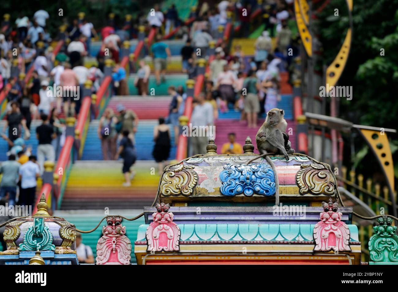 Monkeys are seen at the entrance Batu Caves temple complex backgrounded ...