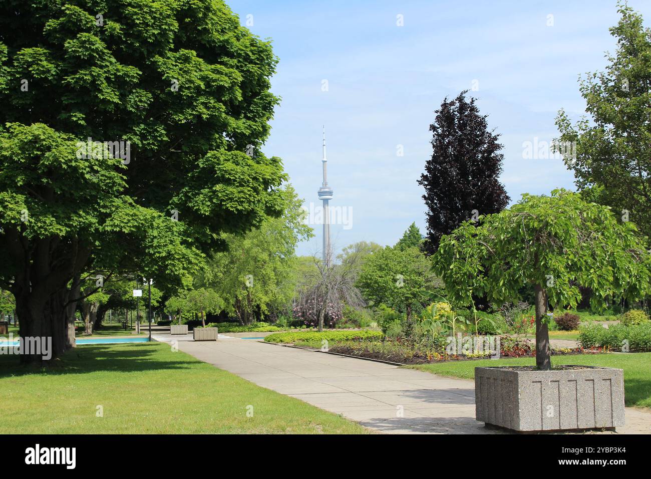 Toronto, ON, Canada - June 13th 2024: View of the CN Tower through the ...