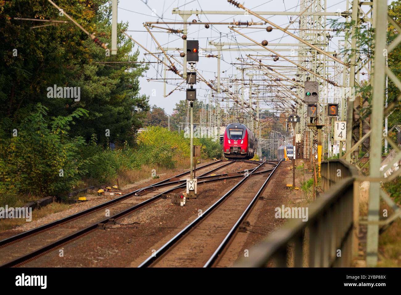DB Regio ET 442 in Berlin-Wannsee 2024-10-17 Deutschland, Berlin ...
