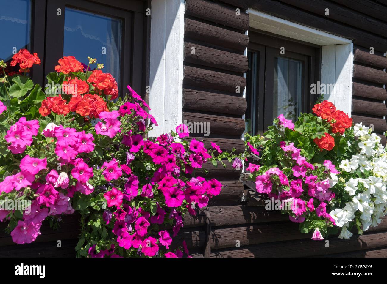 Outside hi-res stock photography and images - Alamy