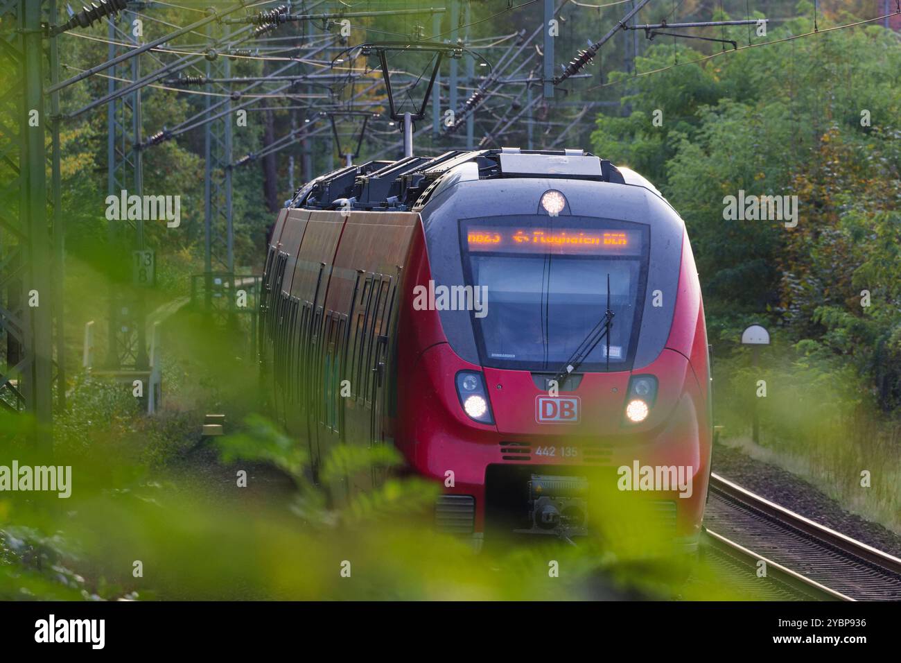 DB-Containerzug in Berlin-Wannsee 2024-10-17 Deutschland, Berlin ...