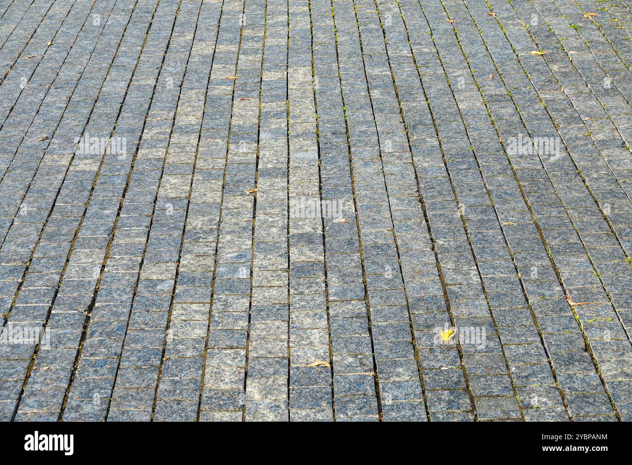 Stone pavement in the rays of the setting sun. Backround of Block ...