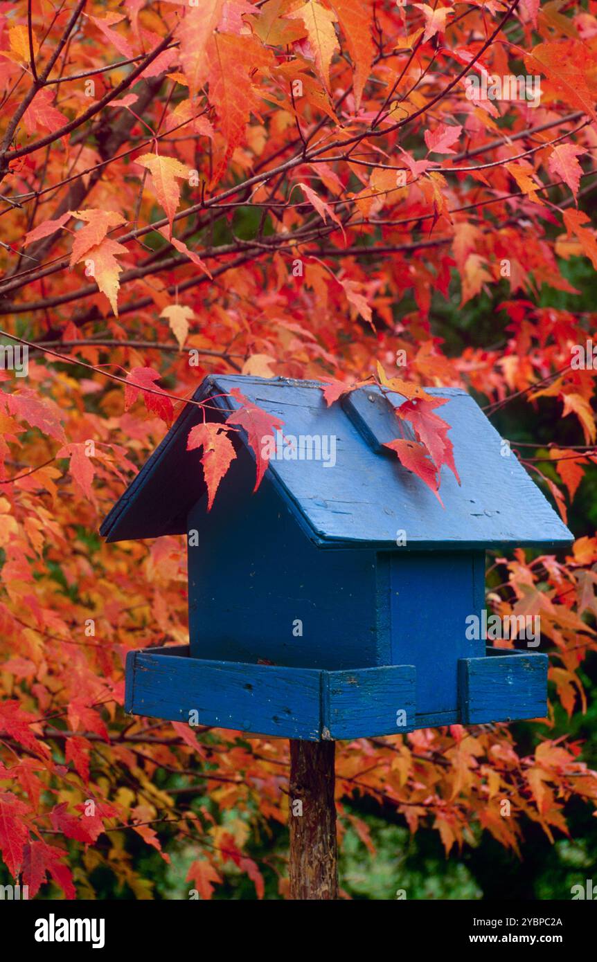Hand painted bird feeder hi-res stock photography and images - Alamy