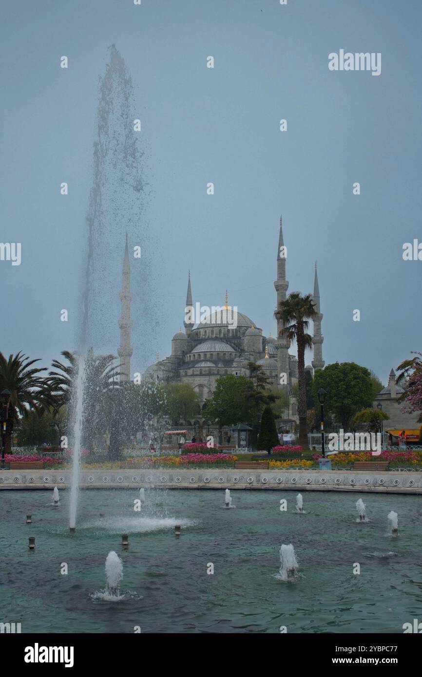 Reflection in fountain palm trees hi-res stock photography and images ...