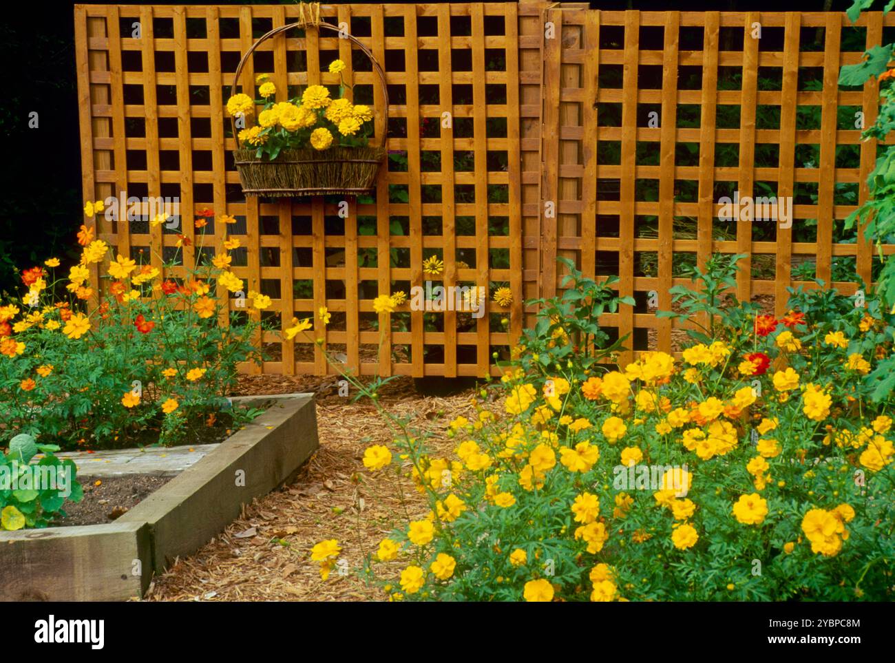 Trellised fence hi-res stock photography and images - Alamy