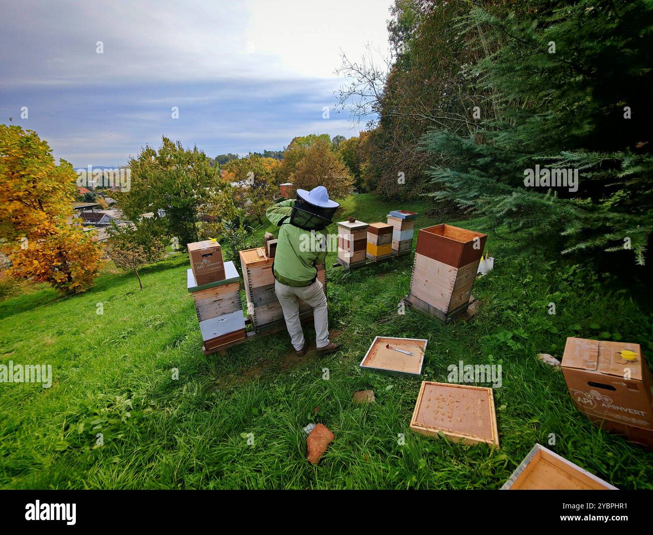 Animallivestock hi-res stock photography and images - Alamy